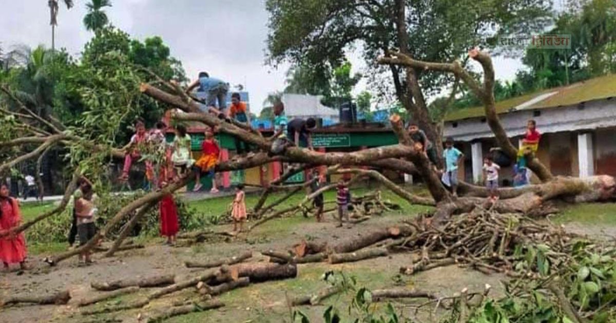 ‘আমিই সভাপতি, কার অনুমতি নেবো’