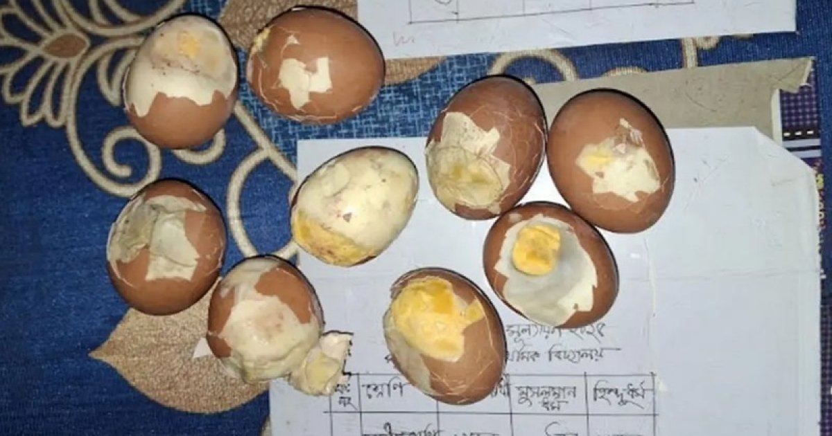 স্কুল ফিডিংয়ে শিক্ষার্থীদের পচা ডিম সরবরাহের অভিযোগ